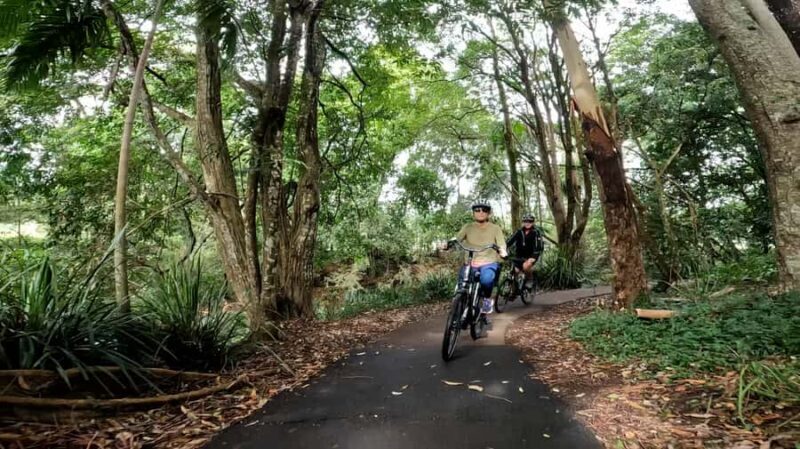 Sunshine Coast: Maleny Magic Guided e-Bike Tour - Key Points