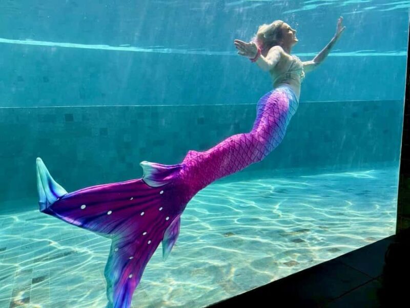 Sunshine Coast: Mermaid Swim Experience - An In-Depth Look at the Sunshine Coast Mermaid Swim Experience