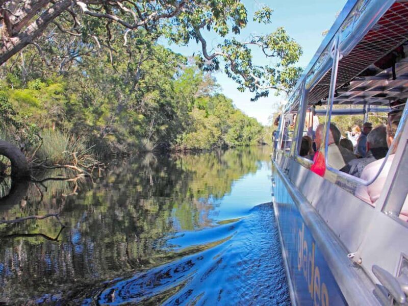 Sunshine Coast: Noosa Everglades, Hinterland & Boat Cruise - Key Points