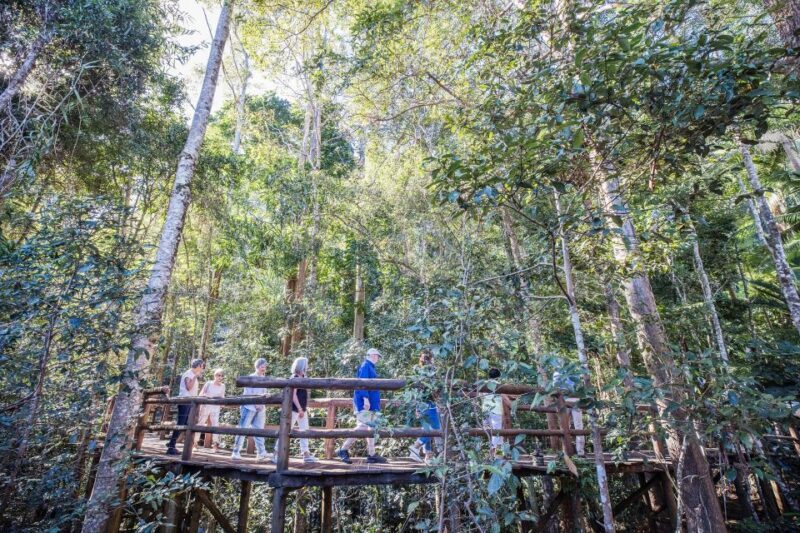 Sunshine Coast & Noosa Hinterland Scenic Culinary Experience - Final Thoughts