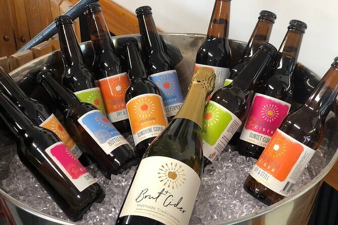 Sunshine Coast & Noosa Private Wine Tour Inc. Lunch & Tastings - Discovering the Itinerary: What Makes This Tour Stand Out