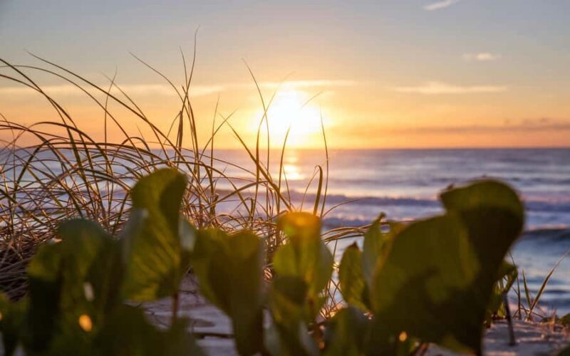 Sunshine Coast: Private Customizable Day Tour - Key Points