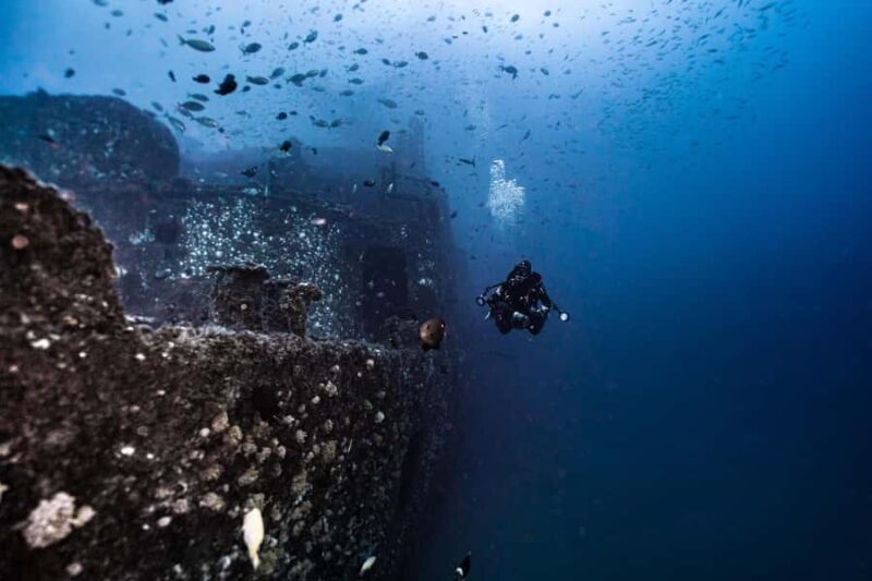 Sunshine Coast: Scuba Dive the Ex-HMAS Brisbane Ship Wreck - The Practicalities: What You Need to Know
