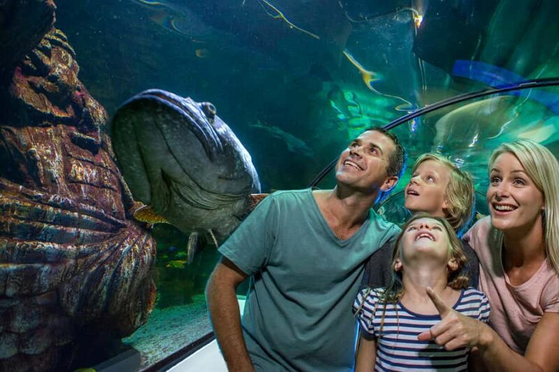 Sunshine Coast: SEA LIFE Sunshine Coast Entry Ticket - Who Will Love This Experience?