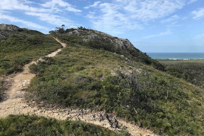 Sunshine Coast Seaside Explorer Private Tour with Lunch - A Complete Look at the Sunshine Coast Seaside Explorer Tour