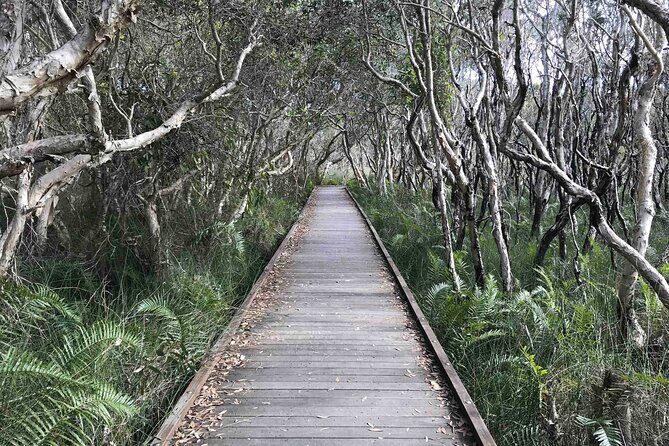 Sunshine Coast Seaside Explorer Private Tour with Lunch - FAQs