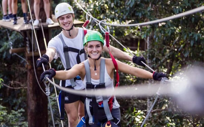 Sunshine Coast: Treetop Challenge Adventure Park - Key Points