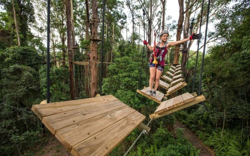 Sunshine Coast: Treetop Challenge Adventure Park - Final Thoughts
