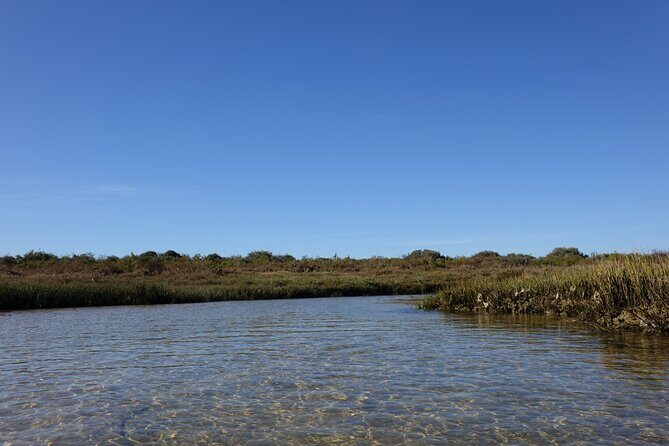 SUP Rental with Access to Natural Park of Ria Formosa's Islands - The Experience in Practice: Authentic Insights