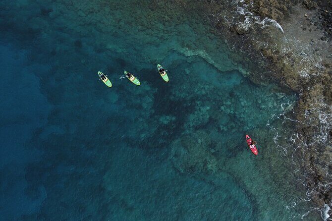 SUP Standup Paddling and Snorkeling Shared Experience - Frequently Asked Questions