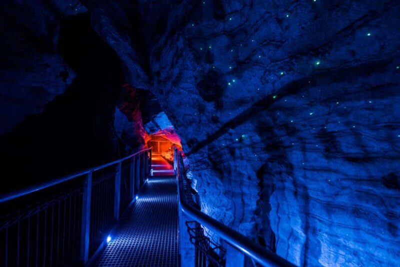 SUPER DEAL: Ruakuri Caves, Te Puia Rotorua & Blue Springs - The Guide Experience