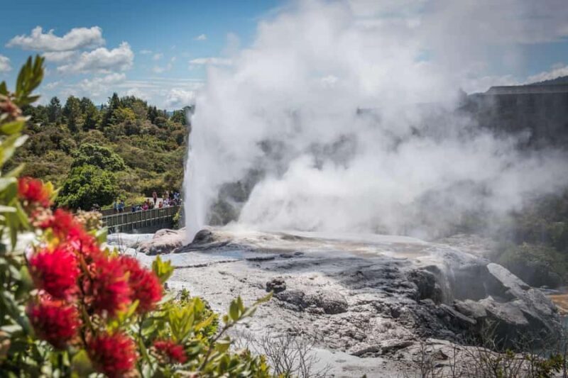 SUPER DEAL: Ruakuri Caves, Te Puia Rotorua & Blue Springs - Practical Tips