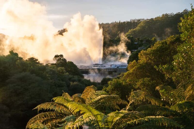 SUPER DEAL: Ruakuri Caves, Te Puia Rotorua & Blue Springs - Who Is It Best For?