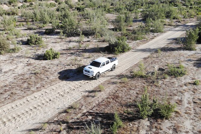 Surf Lesson Tours (half day) - Who Should Consider This Tour?