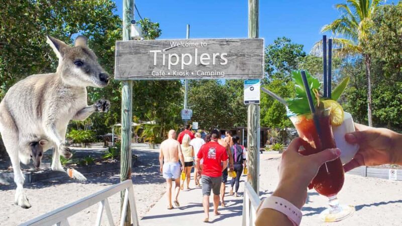 Surfers Paradise: 2 Hour Tropical Island Jet Ski Tour - Opening into the Broadwater and Island Exploration