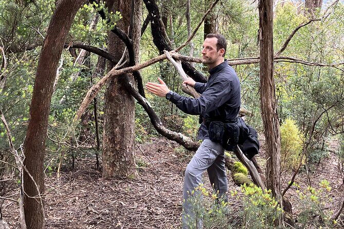 Survival Course & Basic Bushcraft Learning to Survive in the Wild - Key Points