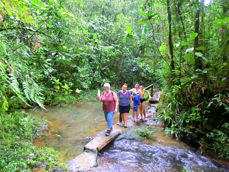 Suva: Half Day City Sightseeing Tour - Key Points