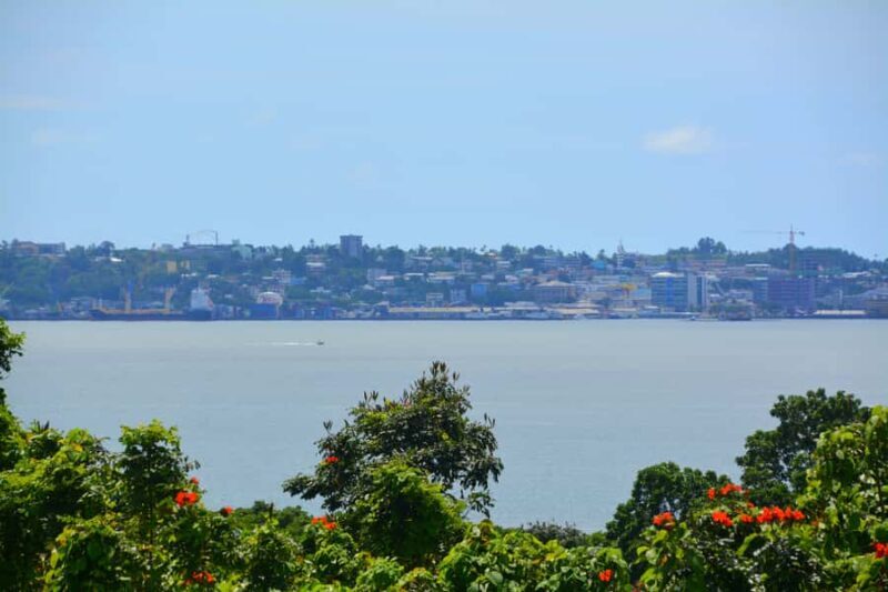 Suva: Half Day City Sightseeing Tour - Guides and Customer Service