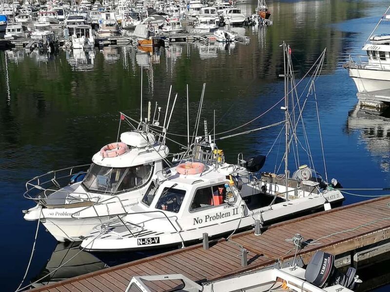 Svolvaer: Fishing Trips with a personal touch - Key Points
