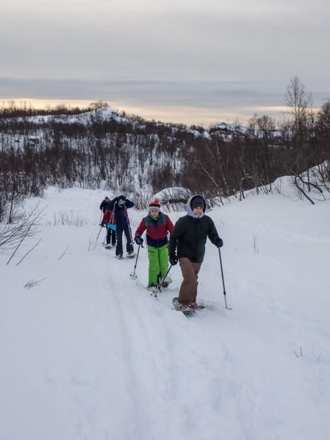 Svolvaer: Half-Day Guided Snowshoeing Tour - Who Should Consider This Tour?