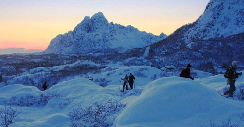 Svolvaer: Half-Day Guided Snowshoeing Tour - The Sum Up