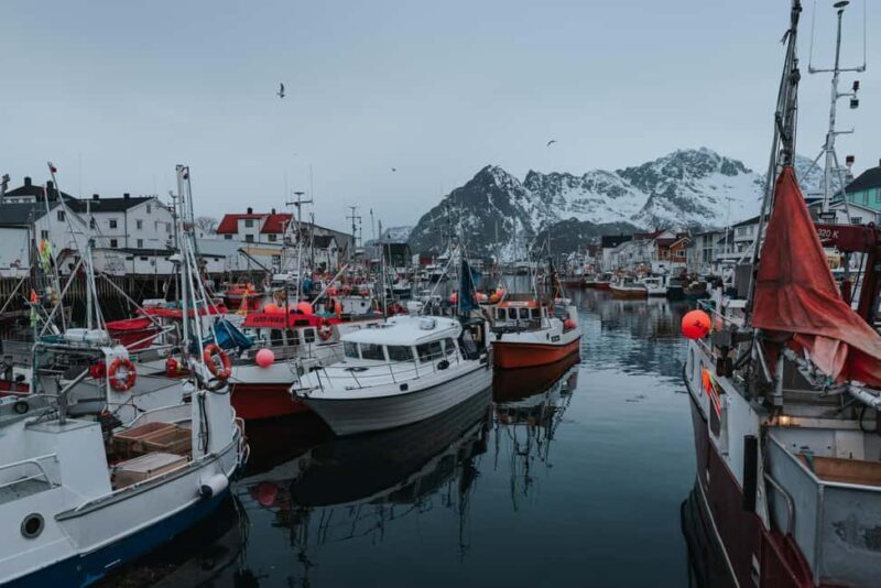 Svolvær: Lofoten Scenic Sightseeing Tour: Half day tour - Key Points