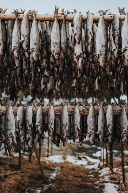 Svolvær: Lofoten Scenic Sightseeing Tour: Half day tour - Final Thoughts: Is It Right for You?