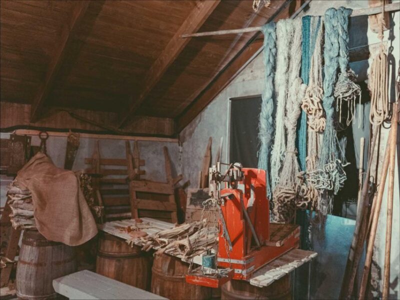 Svolvær: Northern Lights and Full Steam Cruise with Tasting - Who Is This Tour Best For?