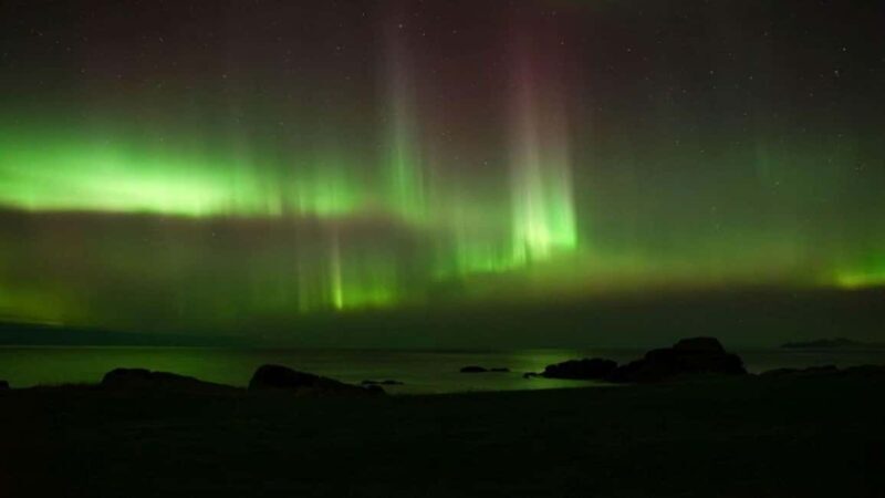Svolvær: Northern Lights Tour with Hot Drinks & Photos - Why This Tour is Worth Considering