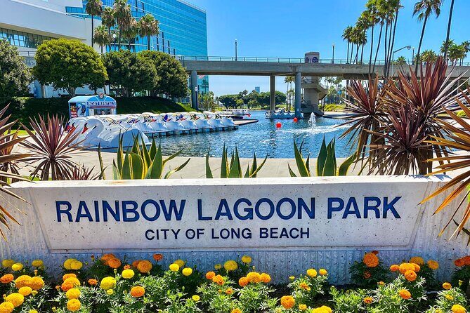 Swan Boat Rental at Rainbow Lagoon in Long Beach - What to Expect from the Rainbow Lagoon Swan Boat Experience