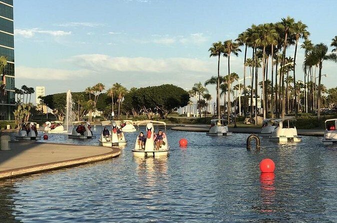 Swan Boat Rental at Rainbow Lagoon in Long Beach - Final Thoughts