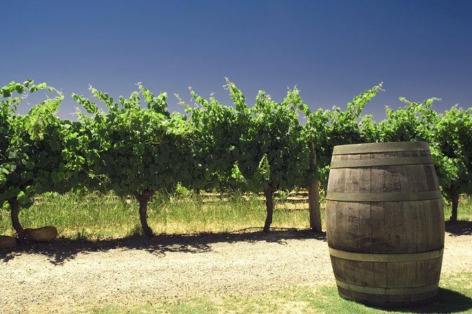 Swan Valley Private Tour - Why Choose the Swan Valley Private Tour?