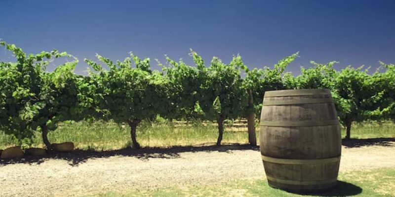 Swan Valley Private Tour - The Sum Up