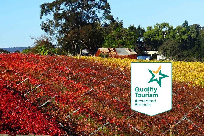 Swan Valley Region Private Day Tours - Why You’ll Love the Swan Valley Private Tour