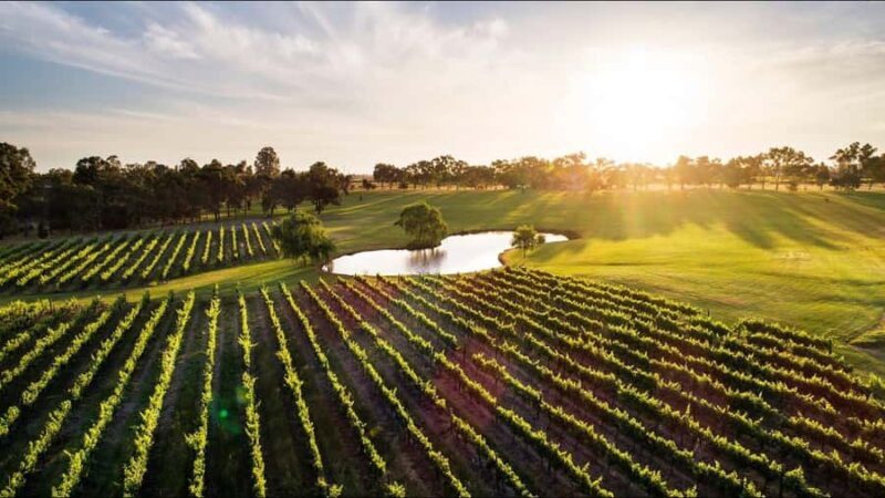 Swan Valley: Tour with 5 star Culinary Chefs 5 course lunch. - Who Will Love This Tour?