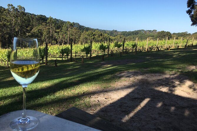 Swan Valley Wine Discovery: Private Tour from Perth - Exploring Swan Valley with a Private Touch