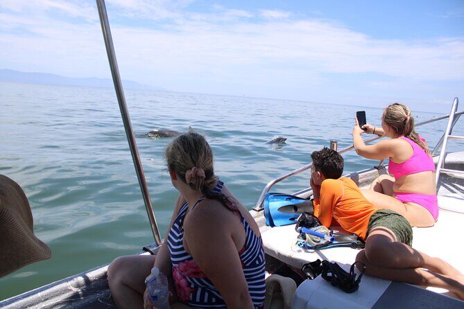 Swim and Paddle Board with Wild Dolphin Pods in Puerto Vallarta - Practical Details and Tips