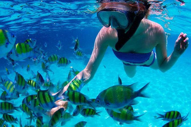 Swim & Fly Day Trip in Cancun with Transportation - Pricing and Value