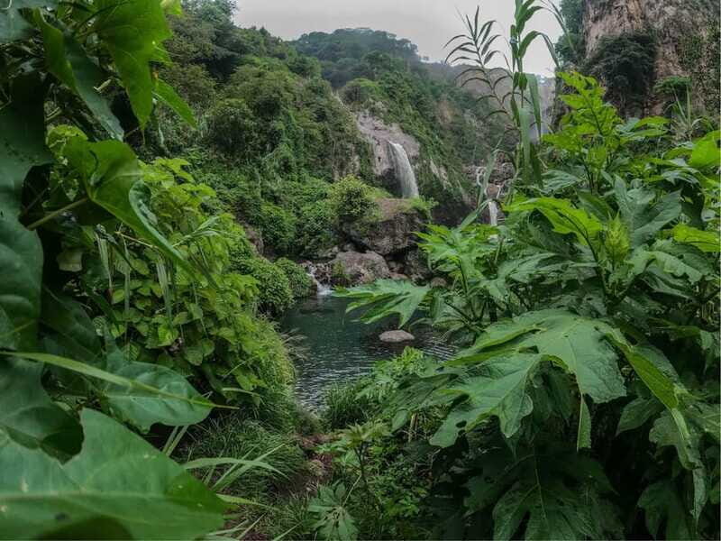 Swim in lush springs and waterfalls in Guadalajara - FAQ