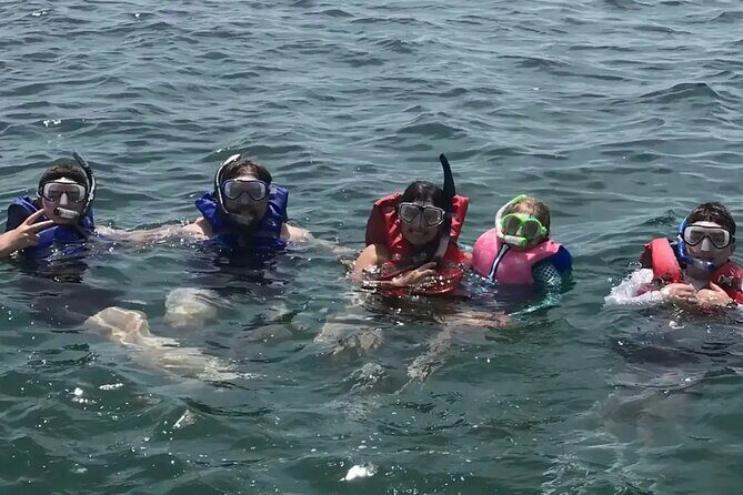 Swim with Dolphins And Snorkeling Group Tour - An In-Depth Look at the Experience