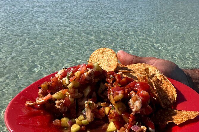 Swim with Sea Lions in La Paz - Why This Tour Is Worth Considering