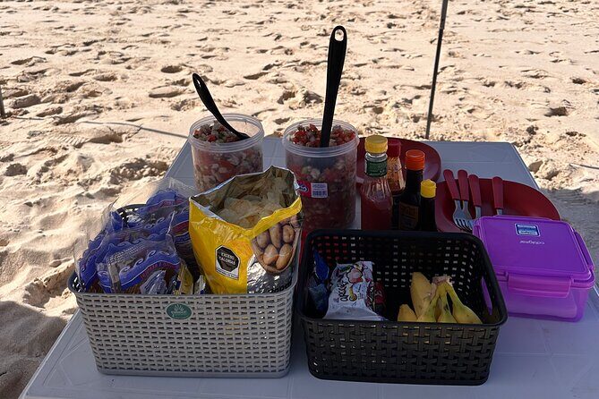 Swim with Sea Lions in La Paz - Who Will Love This Tour?