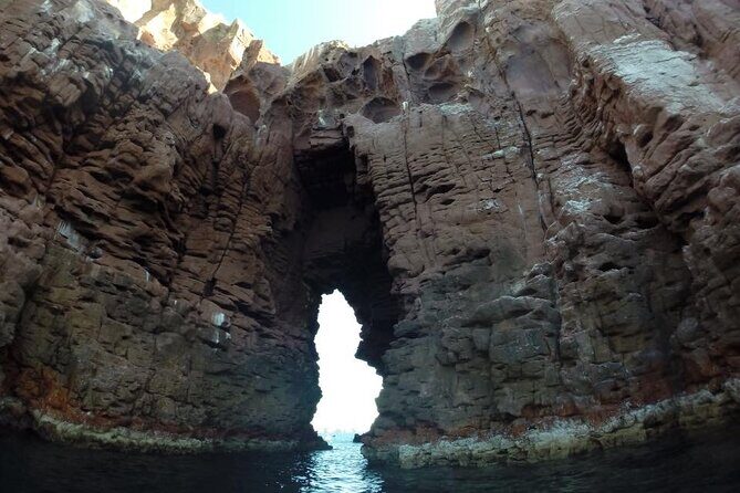 Swim with Sea Lions in La Paz - Final Thoughts