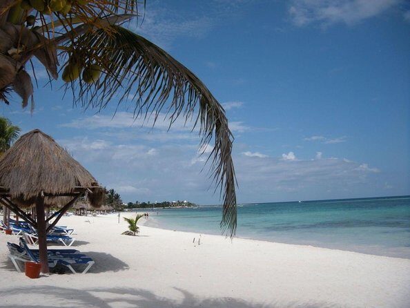 Swim with sea turtles - Swim with Sea Turtles — An In-Depth Review of the Playa del Carmen Experience