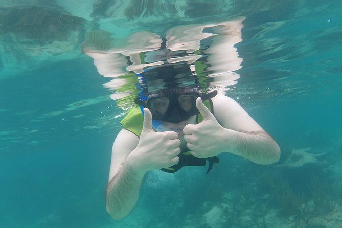 Swim with sea turtles - The Value for Money