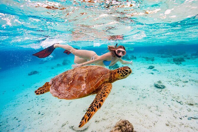 Swim With The Turtles Rarotonga - The Sum Up: Is It Worth It?