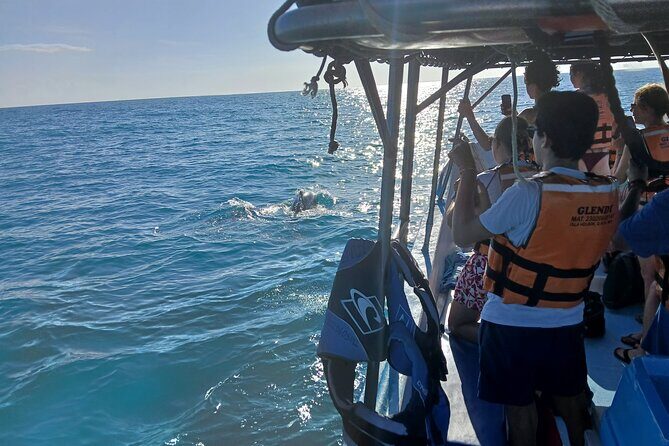 Swim with the Whale Shark on Holbox Island - Key Points