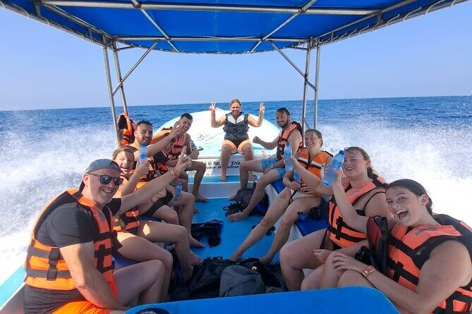 Swim with the Whale Shark on Holbox Island - Authentic Reviews and Insights