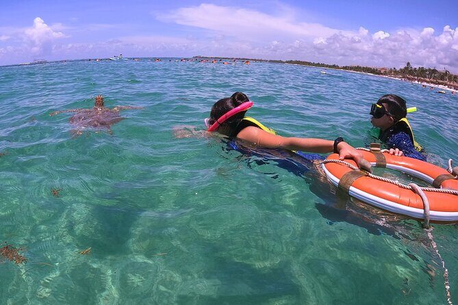 Swim with Turtles in Akumal + GoPro Photo Session - Discovering the Experience: What to Expect