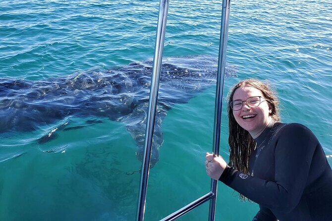 Swim with Whale Sharks #1 MUST DO IN LA PAZ - Introduction: What Makes This Tour Special?
